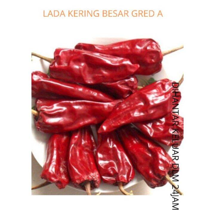 🔥 READY STOCK🔥LADA KERING BESAR 100GRAM/CILI KERING | Lazada