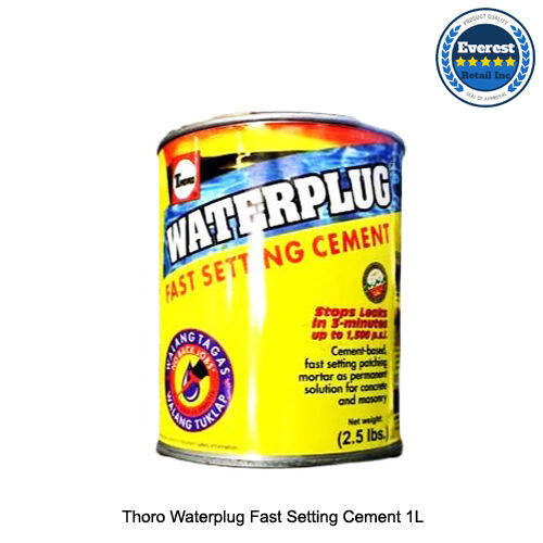 Thoro Waterplug Fast Setting Cement 1L | Lazada PH