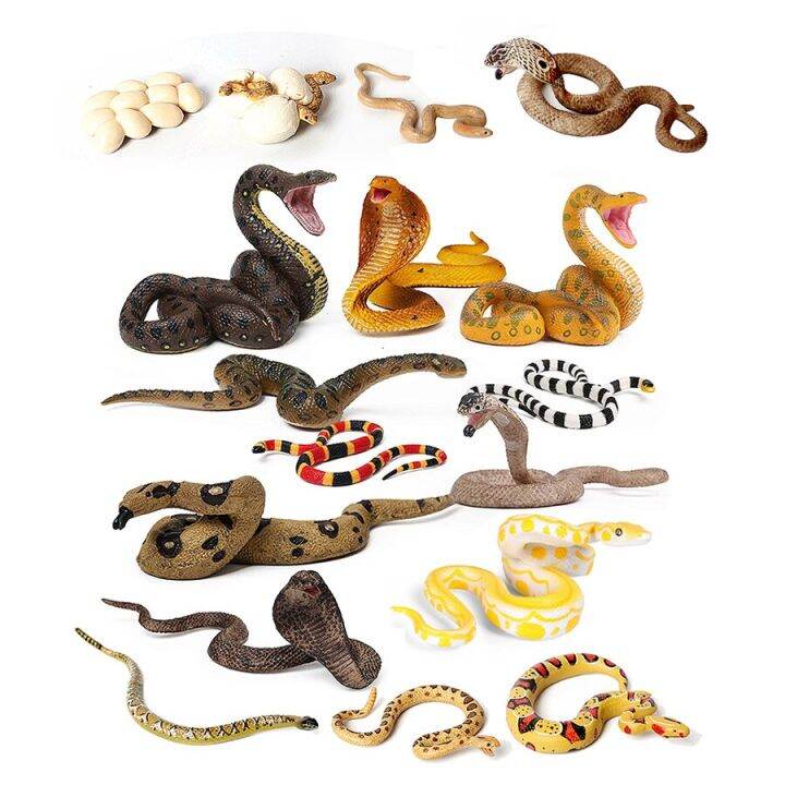 Realistic Wilde Life Snake Figurines Playset,Rattlesnake Cobra Growth ...