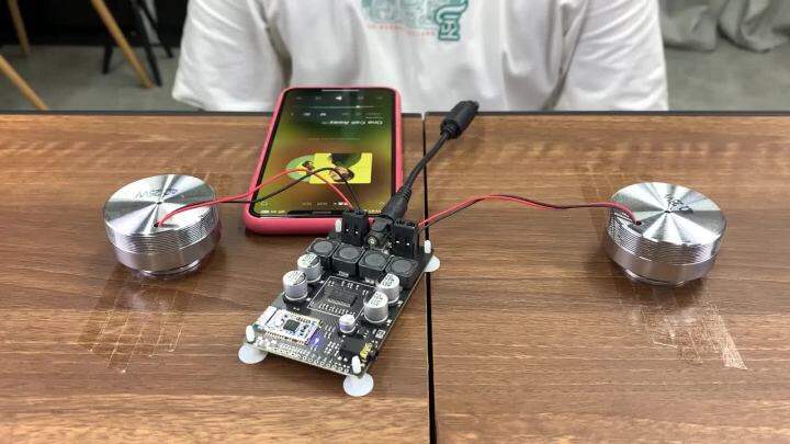 AIYIMA Vition Full Range Speaker Amplifier Plug 2 Inch Audio Mini Portable 48 Ohm 2025W ...