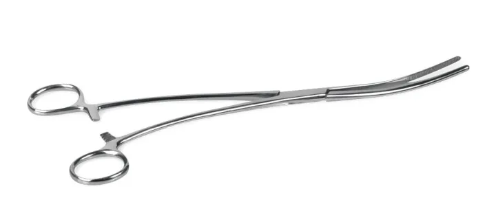 Bozeman Uterine Dressing Forcep 10 1/4" (Olten Brand) | Lazada PH