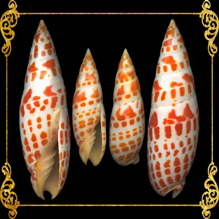 Mitra Mitra | Orange | Episcopal Miter | Mitra Mitra | 2.5 - 5 Inches ...