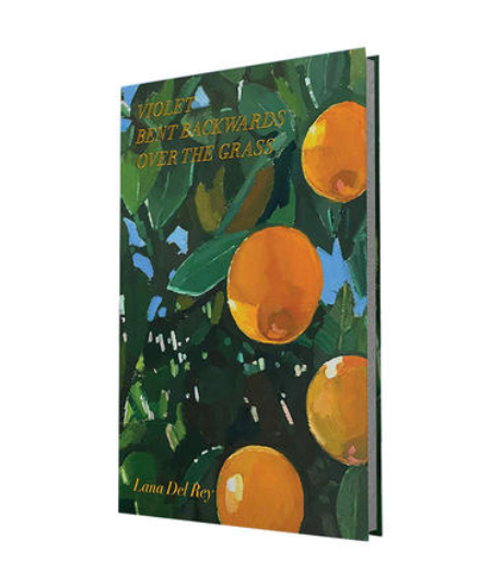 Lana Del Rey Lana De Leis Poetry Hardcover Original English Version Violet Bent Backwards Over