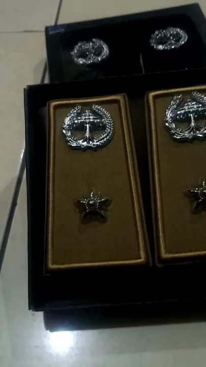 Pangkat Lurah / Pangkat Kades /Pangkat pdh lurah /pangkat pdh exclusive ...