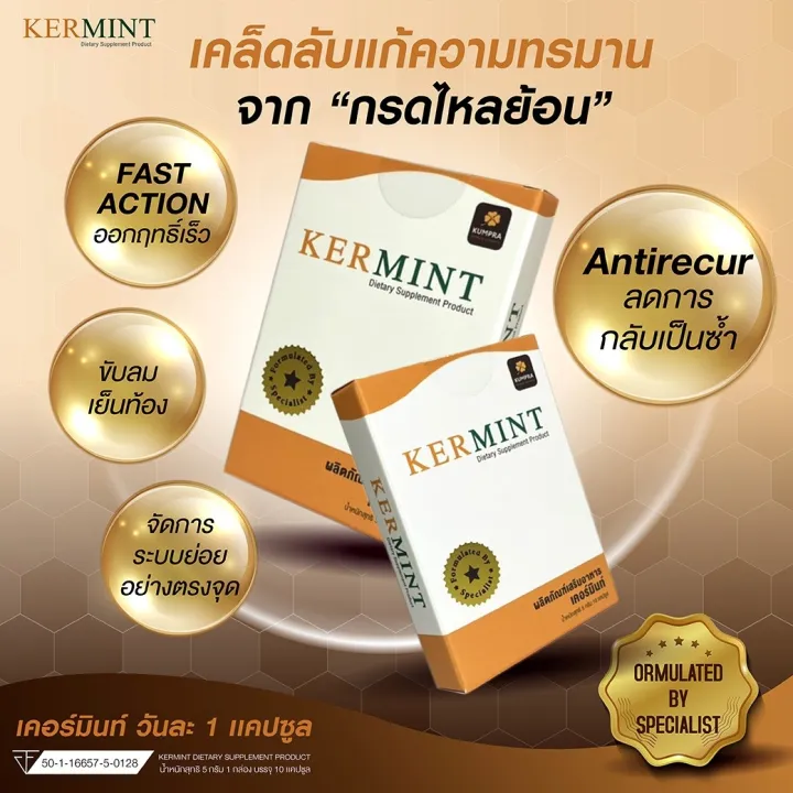Kermint เคอร์มินท์ กรดไหลย้อน 1 กล่อง 10 แคปซูล | Lazada.co.th