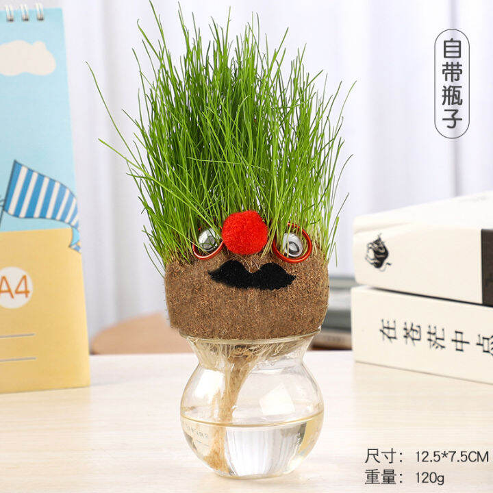 Boneka Rumput Boneka Rumput Horta Pot Gelas 522-12 | Lazada Indonesia