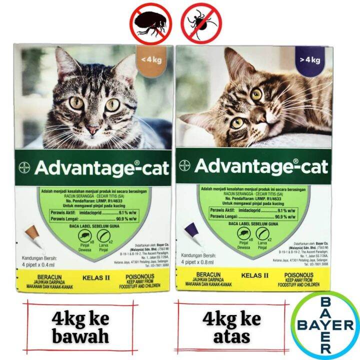 Bayer Advantage Cat Spot On Flea Treatment For Cats Ubat Kutu Kucing ...