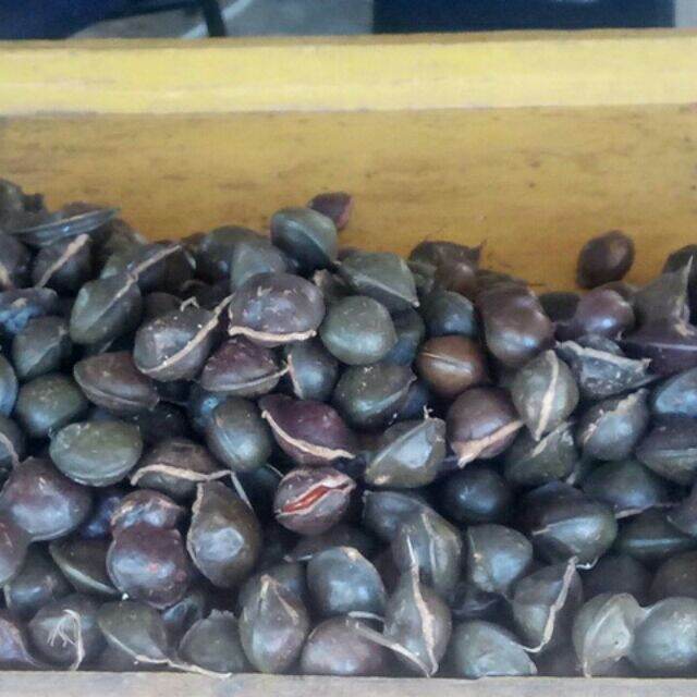 BUAH JERING FRESH 500G | Lazada