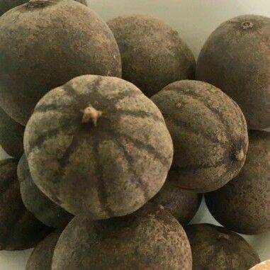 Lemon Hitam 50 Gram/ Lemon Aswad pilihan Bumbu Selera Kita | Lazada ...