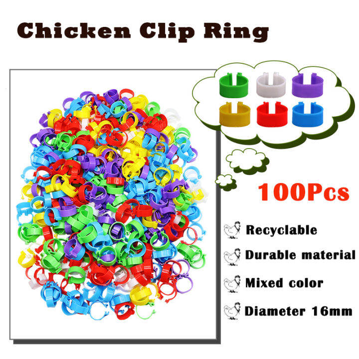 10Pcs 1.6cm Chicken Leg Band Ring Chick Clip Ring Poultry Feet Tag for ...