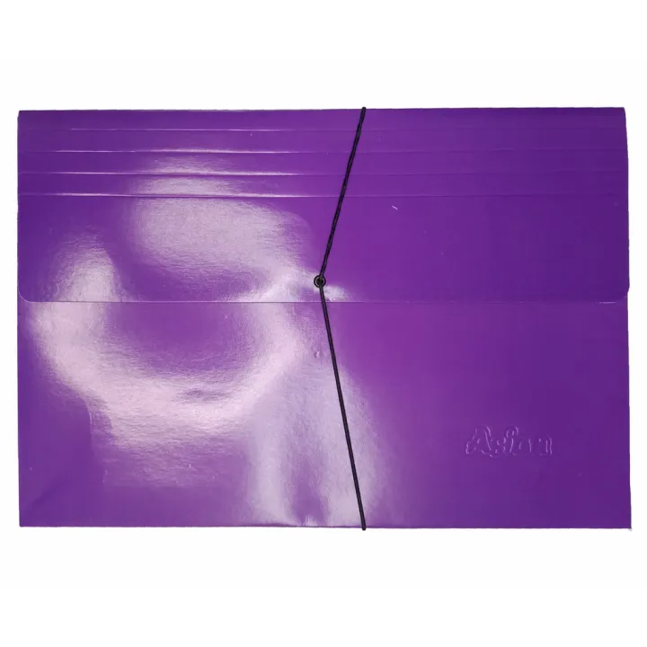 VKS Portfolio-Expandable Envelope with Elastic String (Long) Violet ...
