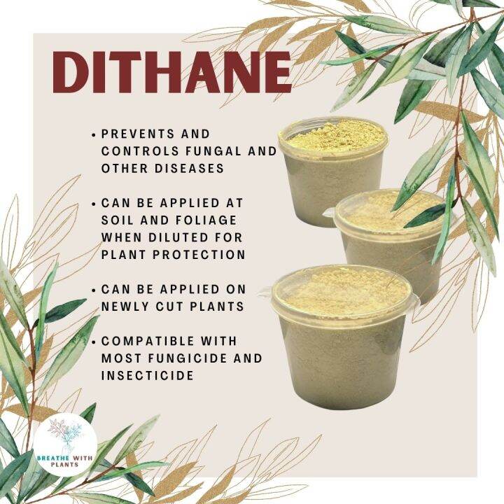 Dithane M - 45 Repacked 12 Grams or 45 Grams | Lazada PH