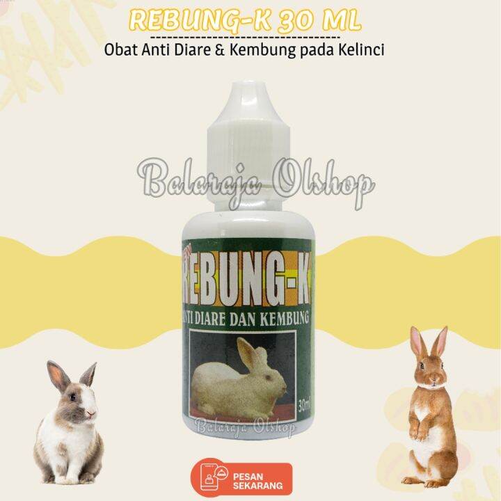 Obat Diare Kelinci - Rebung K Kelinci 30 Ml Original - Antibiotik Tetes ... Obat Diare Kelinci - Rebung K Kelinci 30 Ml Original - Antibiotik Tetes ...