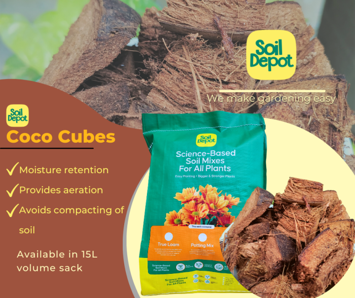 Coco Cubes- Soil Depot | Lazada PH