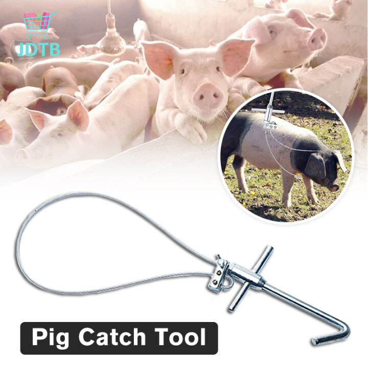 Stainless Steel Adjustable Pig Catch Tool Pig Holder Hog Catcher For ...