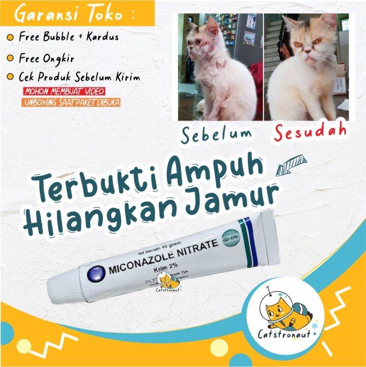 Salep Jamur dan Infeksi Kulit Kucing Anjing / Obat Krim Oles Jamur ...