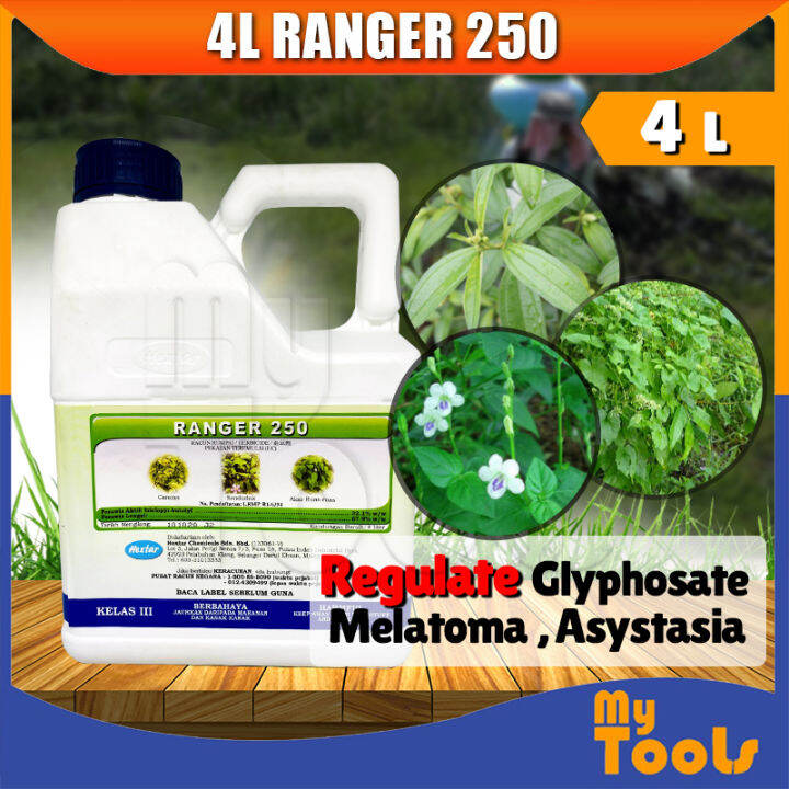 Mytools 4 Liter Hextar Ranger 250 Triclopyr-butotyl 32.1% Racun Rumput ...