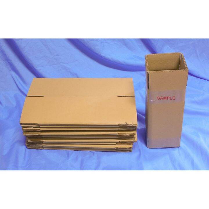 A005 Amistad Brand New Double Wall Corrugated Box 12 x 12 x 26 cm per pack of 10 pcs | Lazada PH