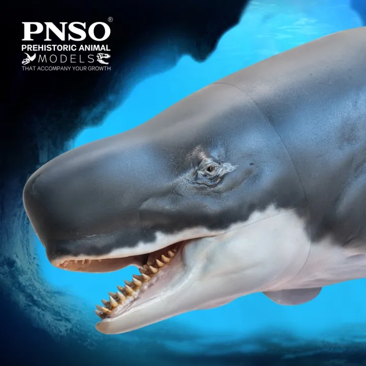 โมเดลไดโนเสาร์ยุคก่อนประวัติศาสตร์ของ PNSO: 56Requena The Livyatan ...