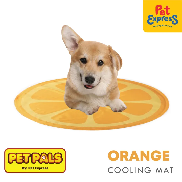 Pet Pals Orange Cooling Mat for Small Breed 60cm | Lazada PH