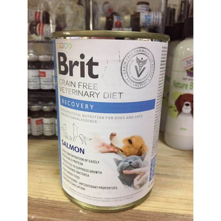 Brit Veterinary Diet Recovery 400g. | Lazada PH