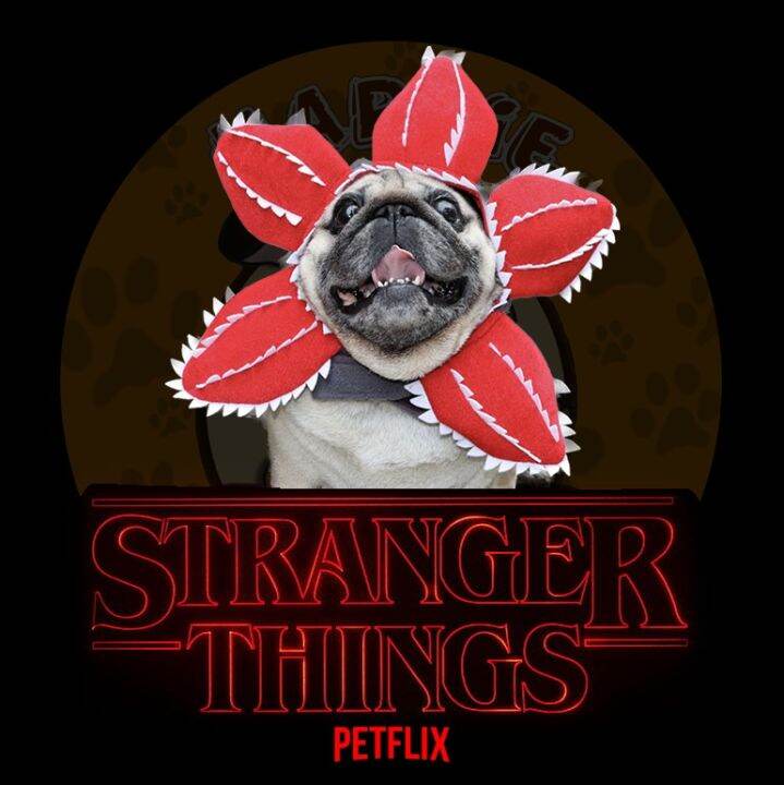 Halloween Demodog Demogorgon Stranger Things Pet Costume Dog Cat ...