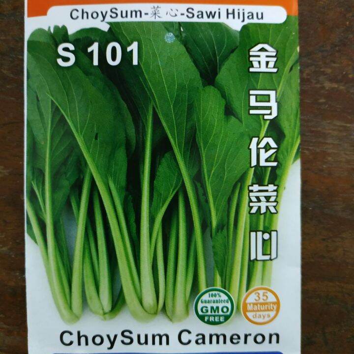 Vegetable seed Choysum Cameron benih sayur sayuran sawi hijau Cameron ...