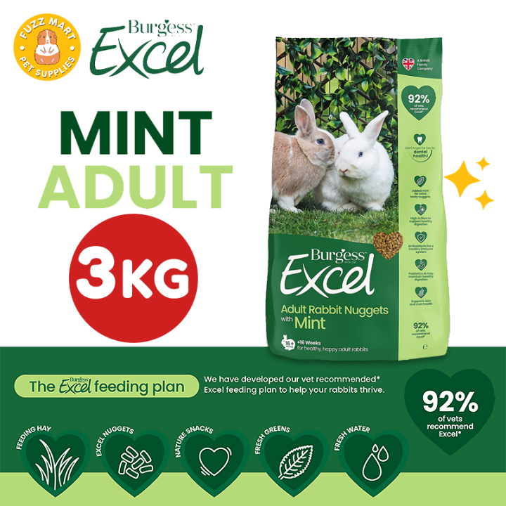 Burgess Excel Nuggets with Mint 3 KG for Adult Rabbit Pellets | Lazada PH
