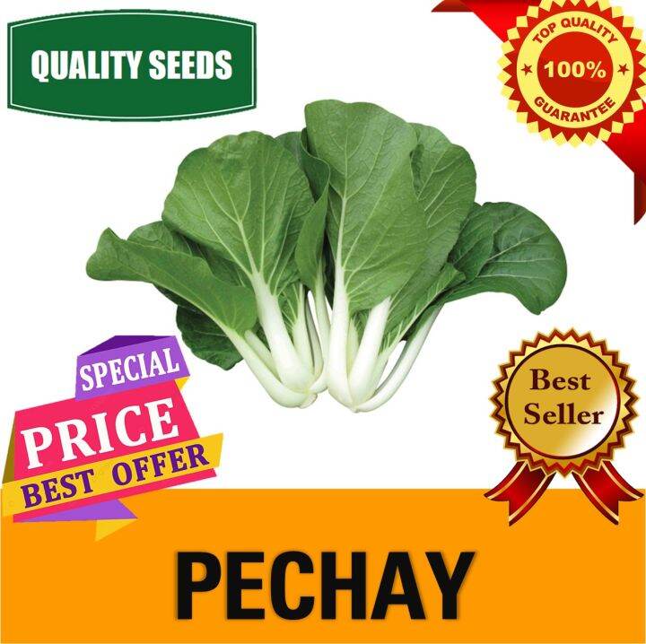 PECHAY/ SEEDS/VEGETABLE SEEDS | Lazada PH
