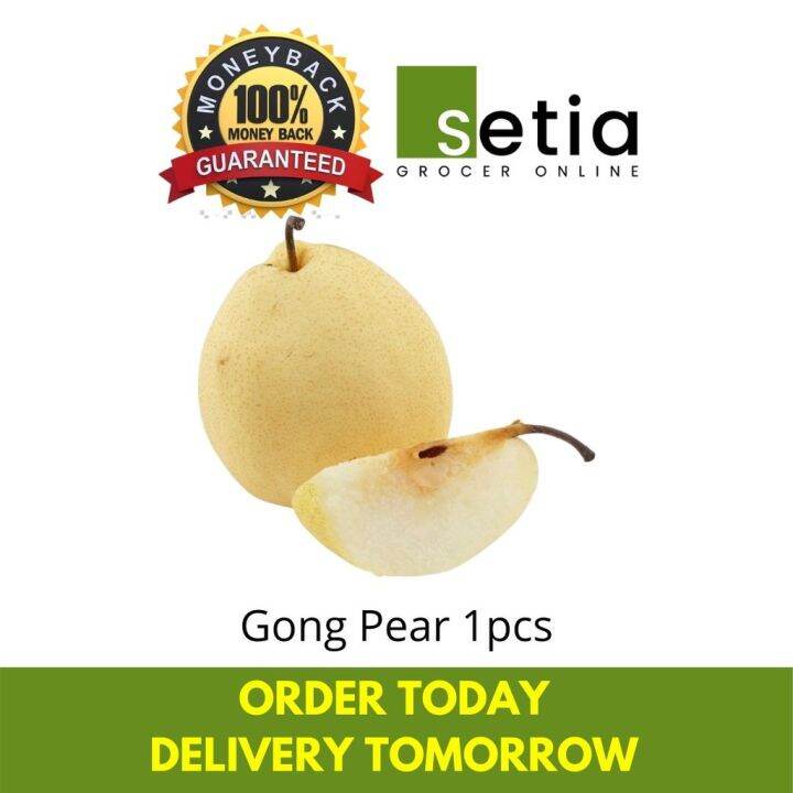 Buah Gong Pear Segar 1pcs | Lazada