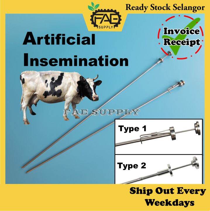 AI Artificial Insemination Sheaths cow bovine Inseminasi tiruan lembu | Lazada