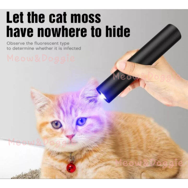 Torchlight, Rechargeable UV Light For Cat Moss,Fluorescent 猫藓 检测灯 | Lazada