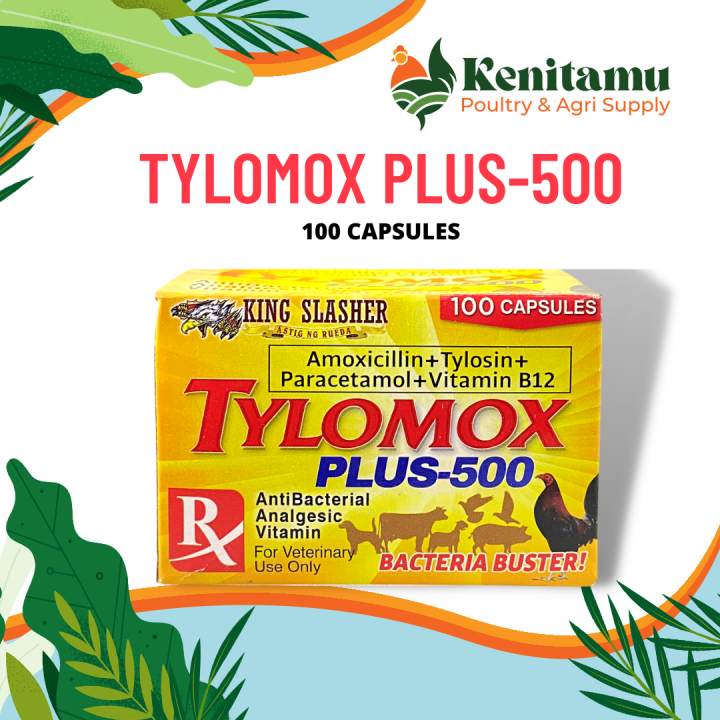 TYLOMOX PLUS-500 100 CAPSULES BY: KING SLASHER | Lazada PH