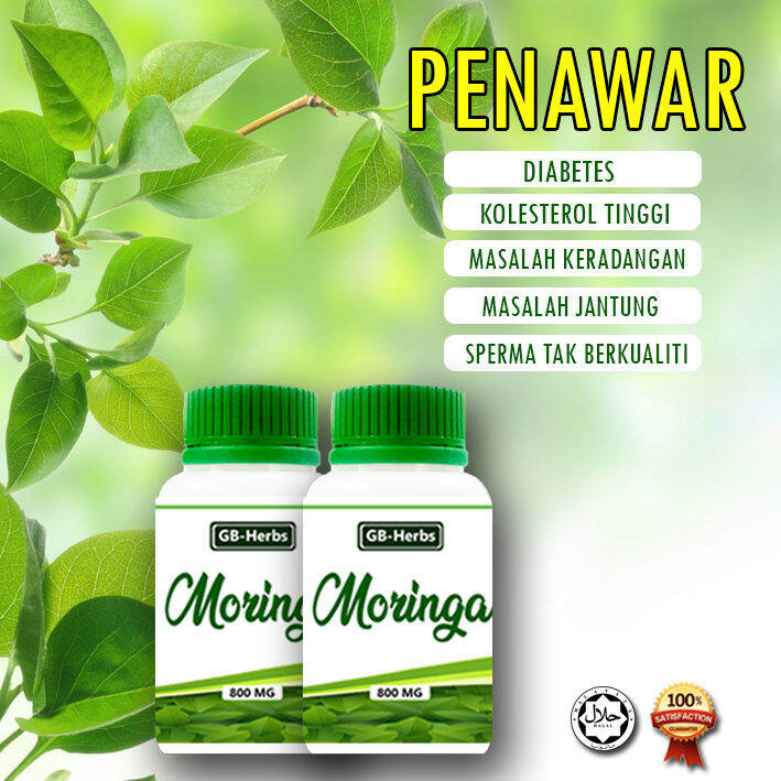 moringa kapsul penawar penyakit JANTUNG DIABETIC 100% Original 1 Box ...