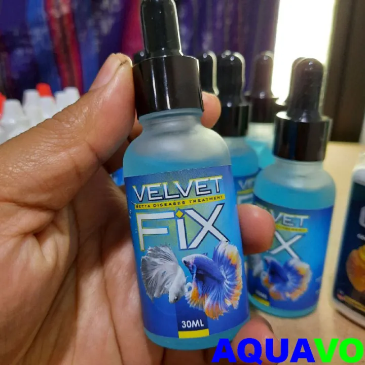 VELVET FIX BETTA UBAT PENYAKIT VELVET IKAN LAGA DISEASES TREATMENT FISH ...
