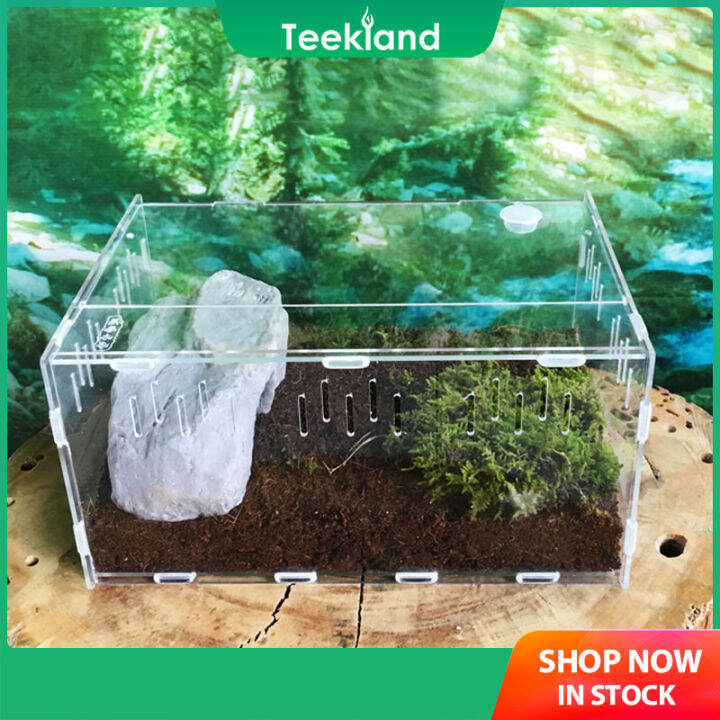 Teekland Reptile Snake Feeding Box Breeding Hatching Container Lizard ...
