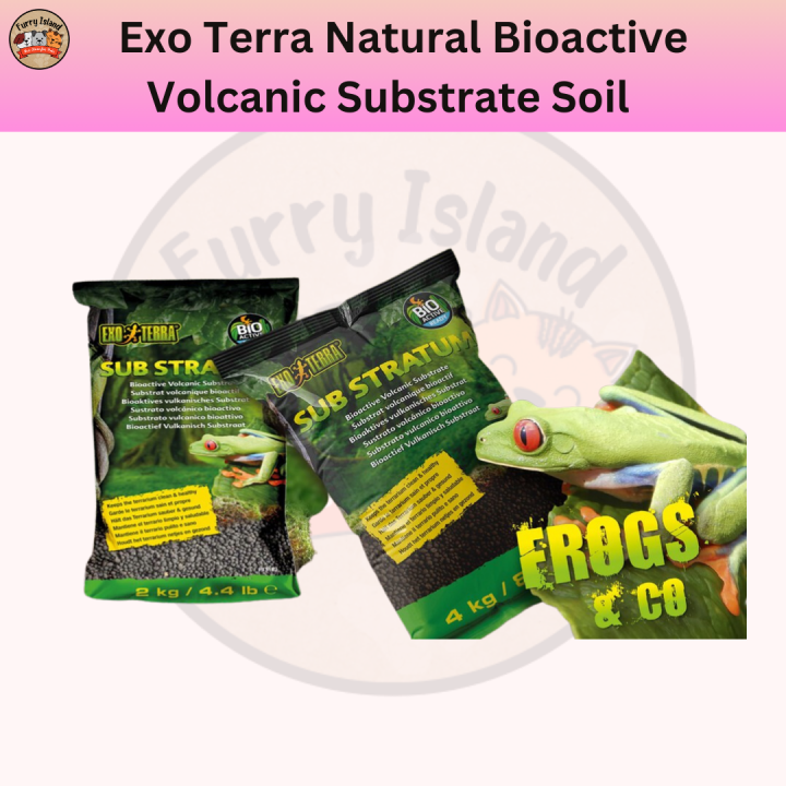 Exo Terra Natural Bioactive Volcanic Substrate Soil Sub Stratum Frog ...