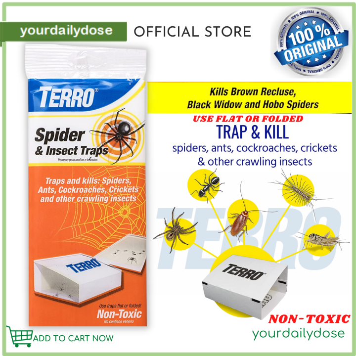 Terro Spider & Insect Trap Poison Free Use Folded or Use Flat (Pack of ...