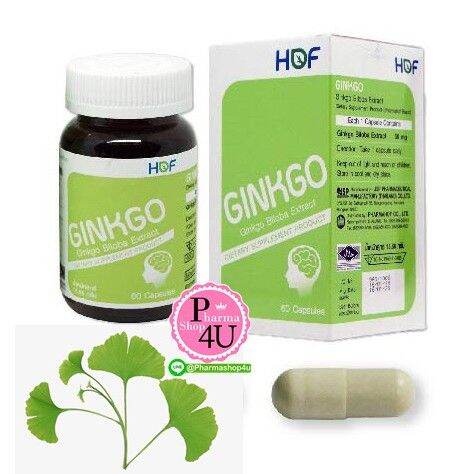 Pharmahof hof Ginkgo สารสกัดใบแป๊ะก๊วย 60 เม็ด Y-GInk วาย กิง Hof | Lazada.co.th