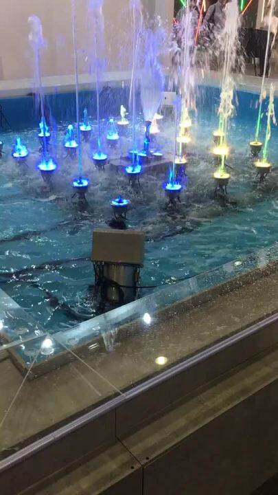 LED Fountain Lamp Pool Landscape Lamp 24V Swimming Pool Stainless Steel ...