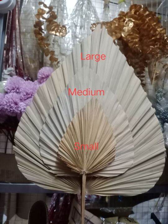 DRIED ANAHAW LEAVES /HOME DECOR/DRIED FLOWER BAZAAR | Lazada PH