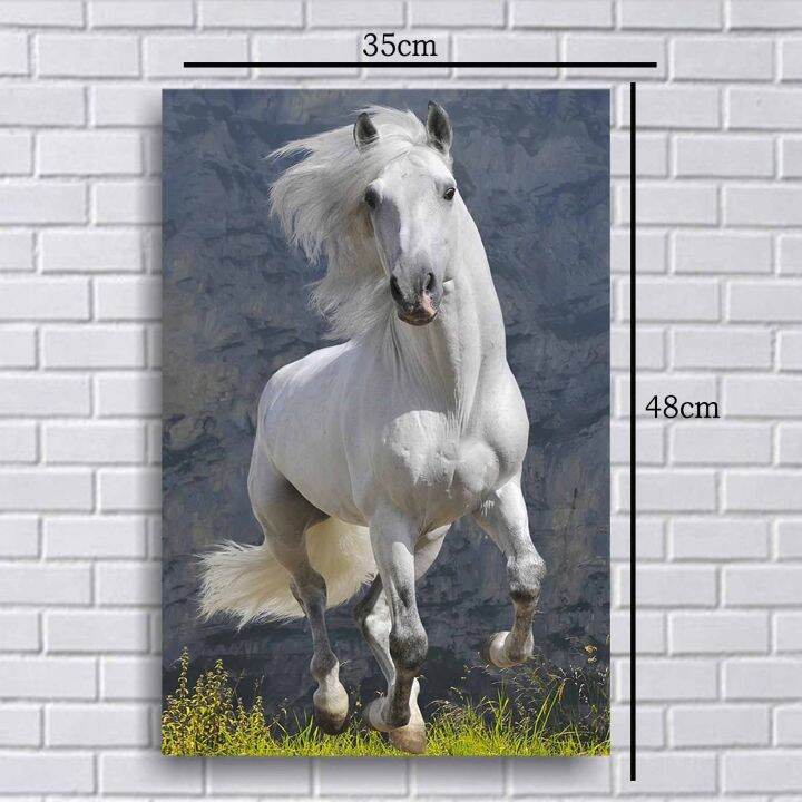 POSTER KUDA HORSE / FOTO KUDA HORSE / POSTER ANIMAL FAUNA / HIASAN ...