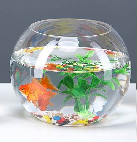 Clear Glass Vase transparent Fish Bowl#10cm | Lazada PH