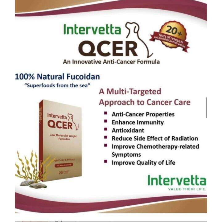 Qcer 20 เม็ด อาหารเสริมต่อต้านมะเร็ง เสริมภูมิคุ้มกันและปรับสมดุลย์ ...