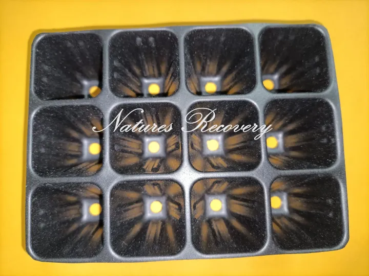 Seedling Tray 12 holes + Slow Release Fertilizer Cup small + 2 taho ...