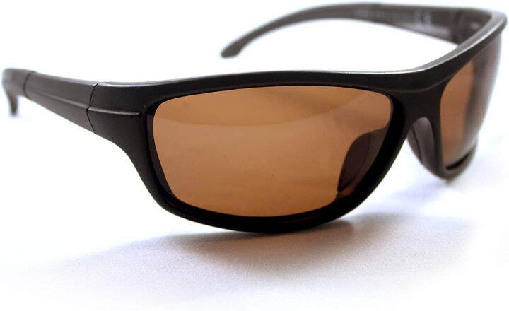 SomniLight Light Therapy SomniLight FL-41 Light Sensitivity Sunglasses ...