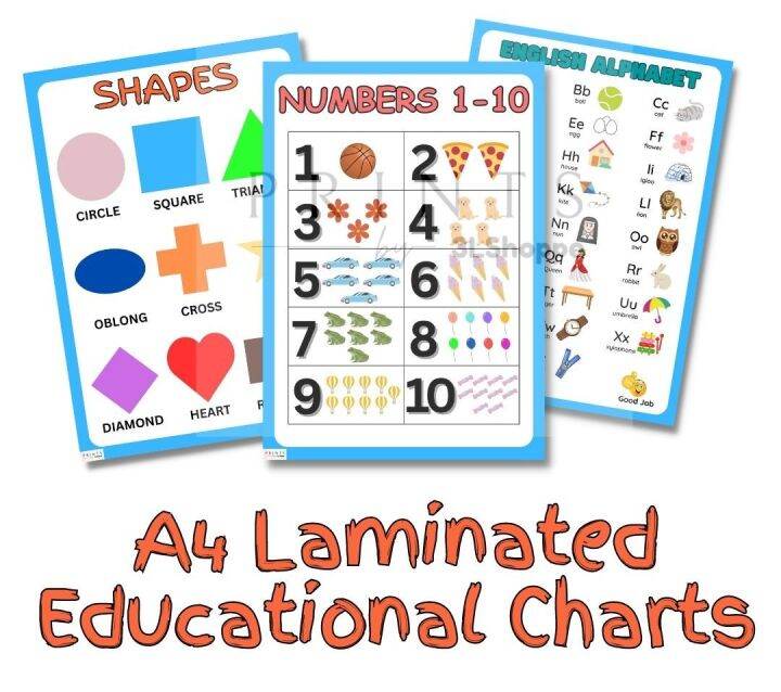Kids Educational Charts for Toddlers Laminated Wall charts Learning ...