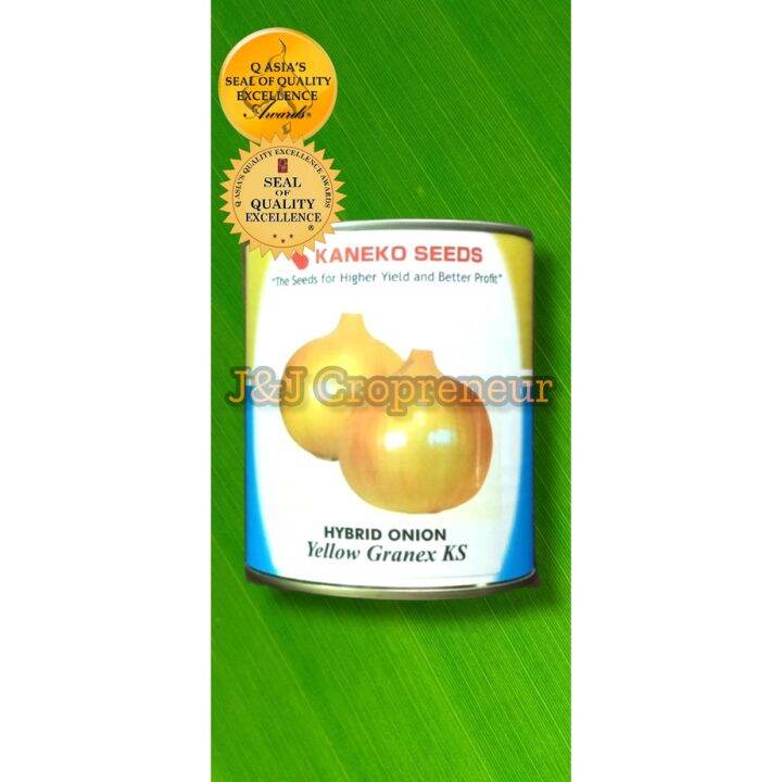 YELLOW GRANEX HYBRID ONION SEEDS 100 GRAMS ORIGINAL PACKING (KANEKO ...