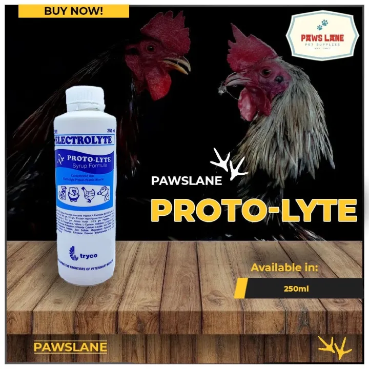 PROTO-LYTE Syrup Formula (250mL) | Lazada PH