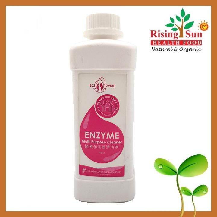 Ecozyme Enzyme Multi Purpose Cleaner 950ML | Lazada